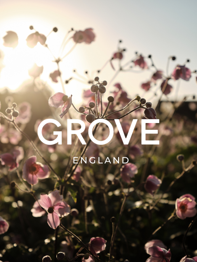 Shop the Collection – GROVE England